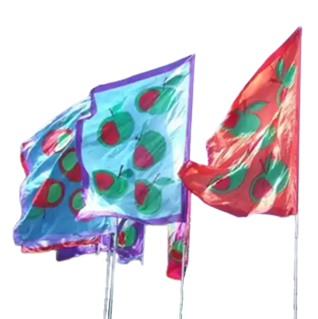 Custom Safety Decorations Feather Beach Flag Banner_Feather Flag ...